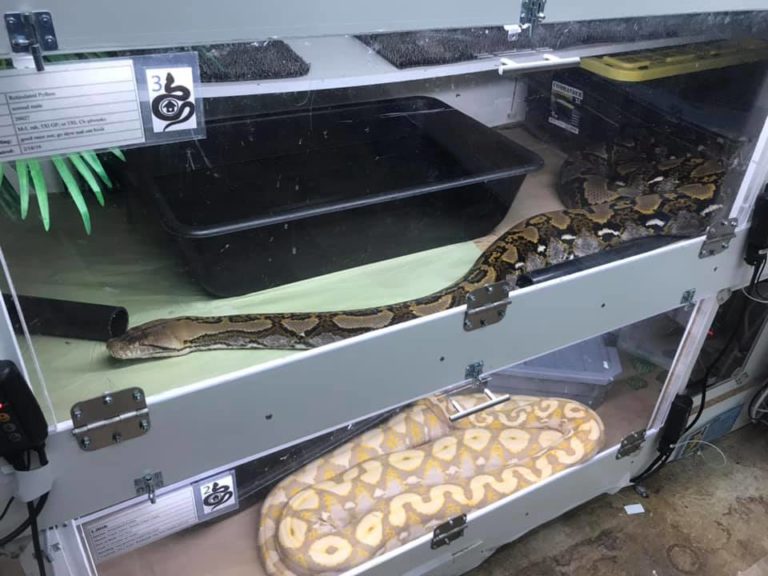 A retirement home for snakes